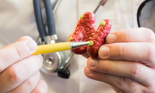 O que é paratireoide e quais os sintomas? - Nefromed | Nefrologia